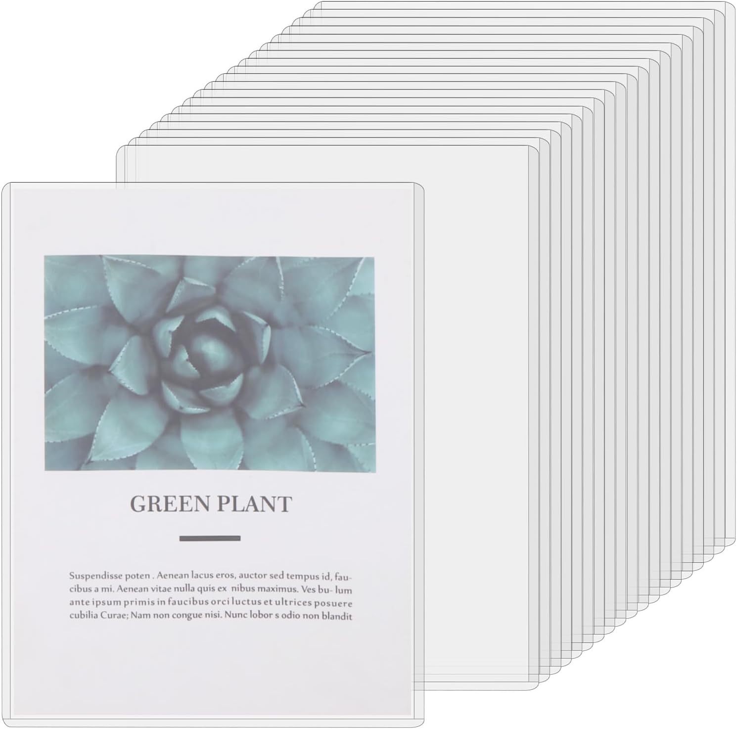 Amazon.com : 5 Pcs Rigid Print Protectors 8.5''x 11'' Waterproof ...