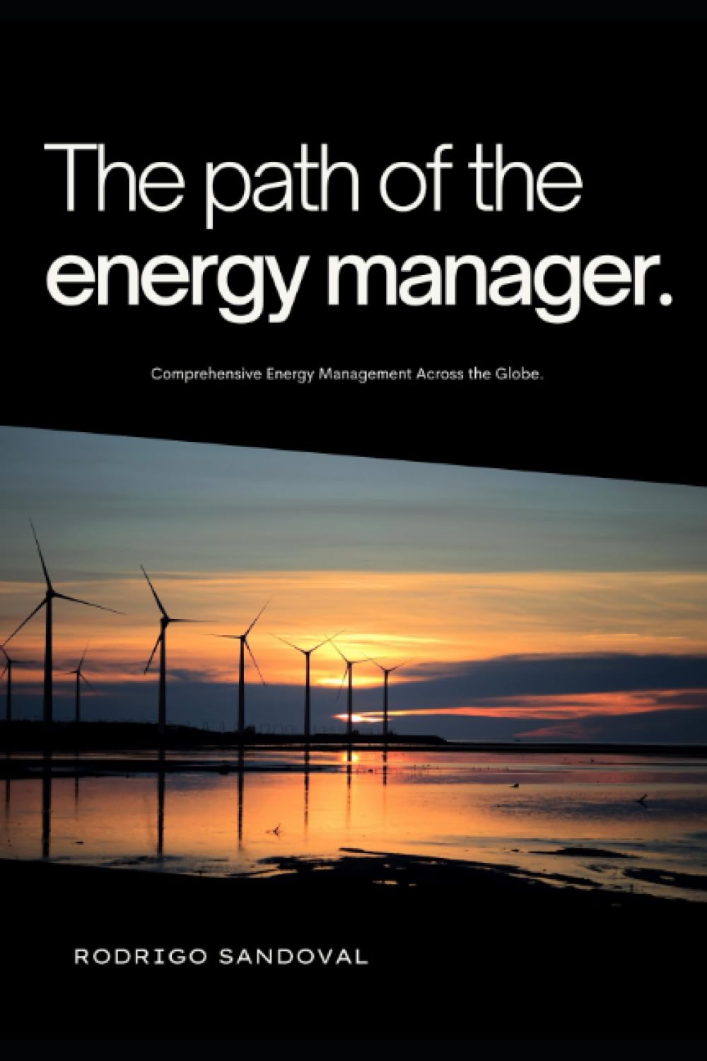 The Path of the Energy Manager: Comprehensive Energy Management Across ...