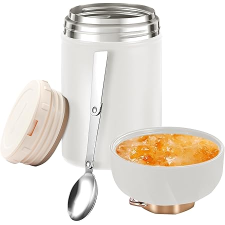 GOEDEKE Food Flask,600ml (20 oz) Food Flask Container,Stainless Steel ...
