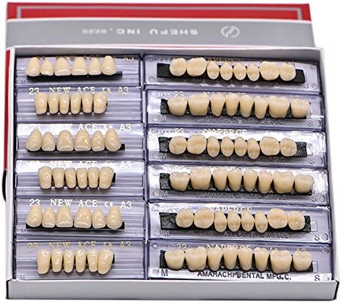 Amazon.com: Angzhili Acrylic False Teeth for Halloween - Horror Denture ...