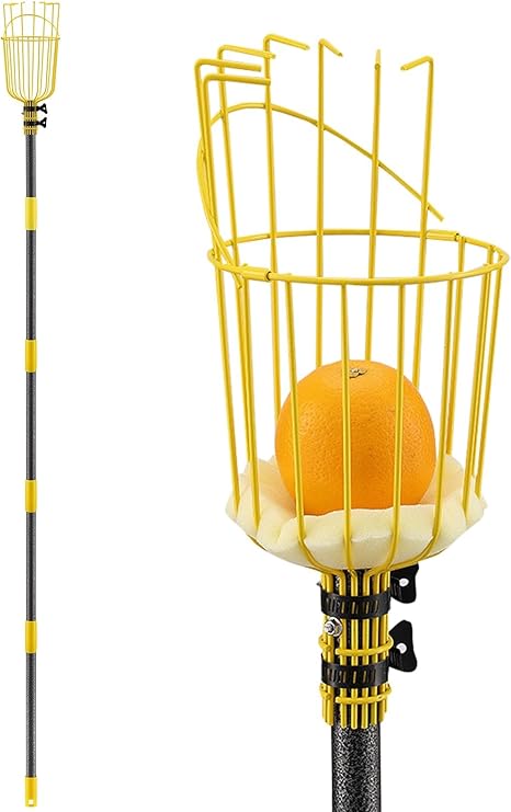 Fruit Picker Pole with Basket Telescopic Pole, Extendable Fruit Catcher ...