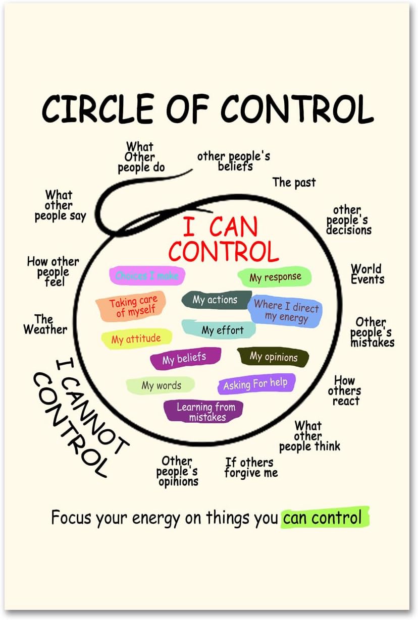 Amazon.com: Circle of Control Chart Wall Art Social Work Feelings I Can ...