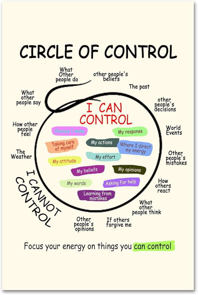Amazon.com: Circle of Control Chart Wall Art Social Work Feelings I Can ...