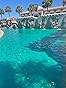 Amazon.com : 3 PACK - Party Pool Color Additive Green Lagoon 47016 ...