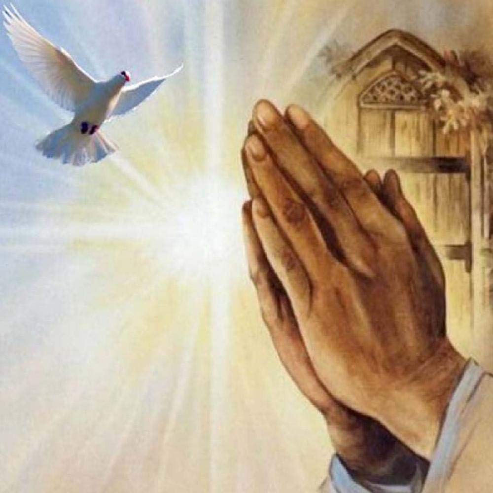 Praying Hands With Cross And Dove