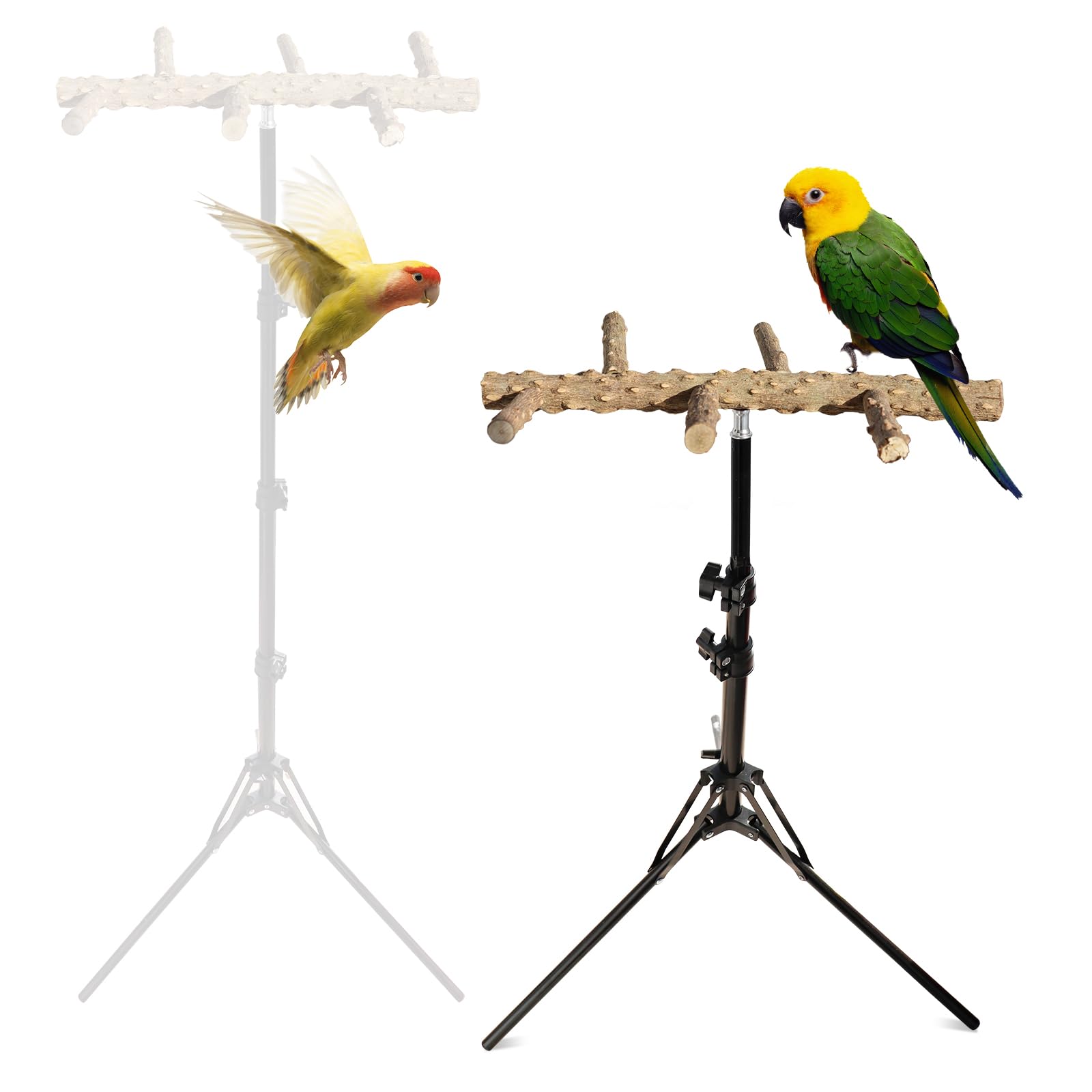 Amazon.com : 16-63 Inch Height Adjustable Bird Perch Stand, Natural ...