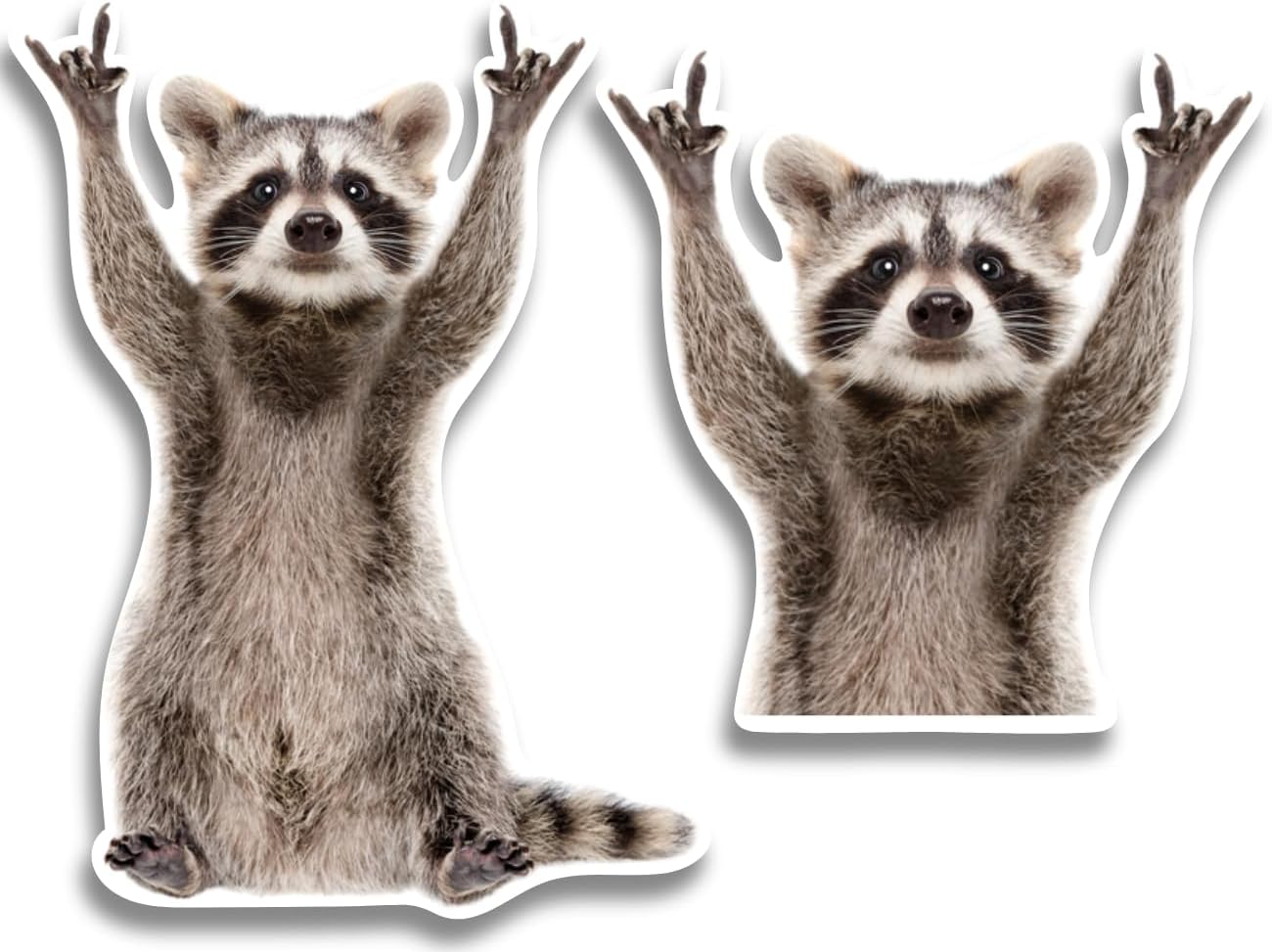 Amazon.com: Sticky Expressions | Rocking Raccoon Stickers (2 Pcs ...