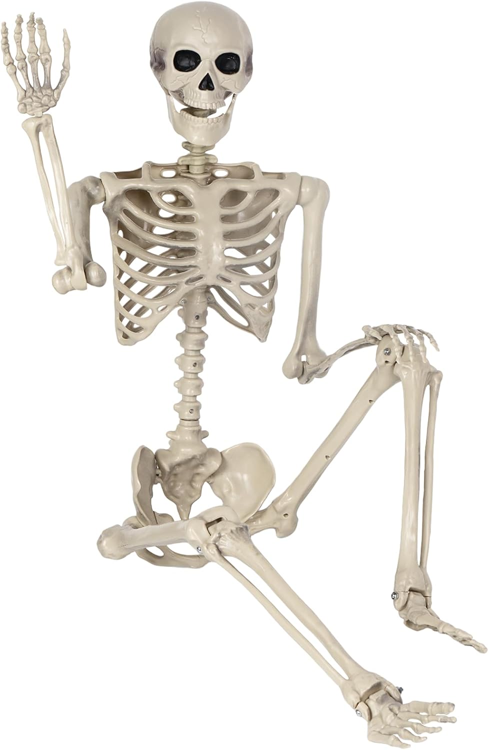 DECORLIFE Life Size Skeleton 5FT, Pose-N-Stay Skeleton, Full Body ...