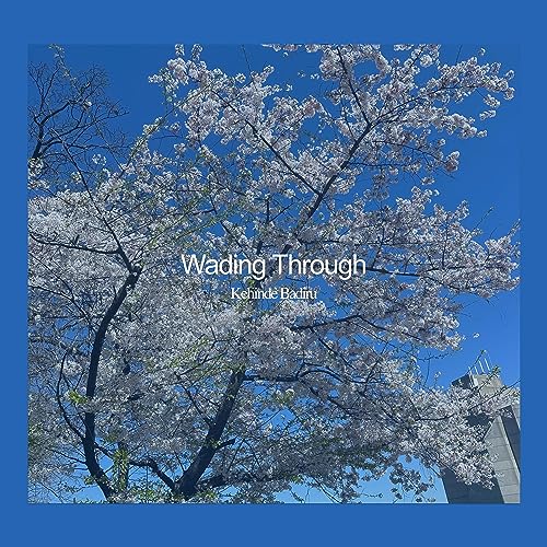 Écouter Wading Through par Kehinde Badiru sur Amazon Music Unlimited