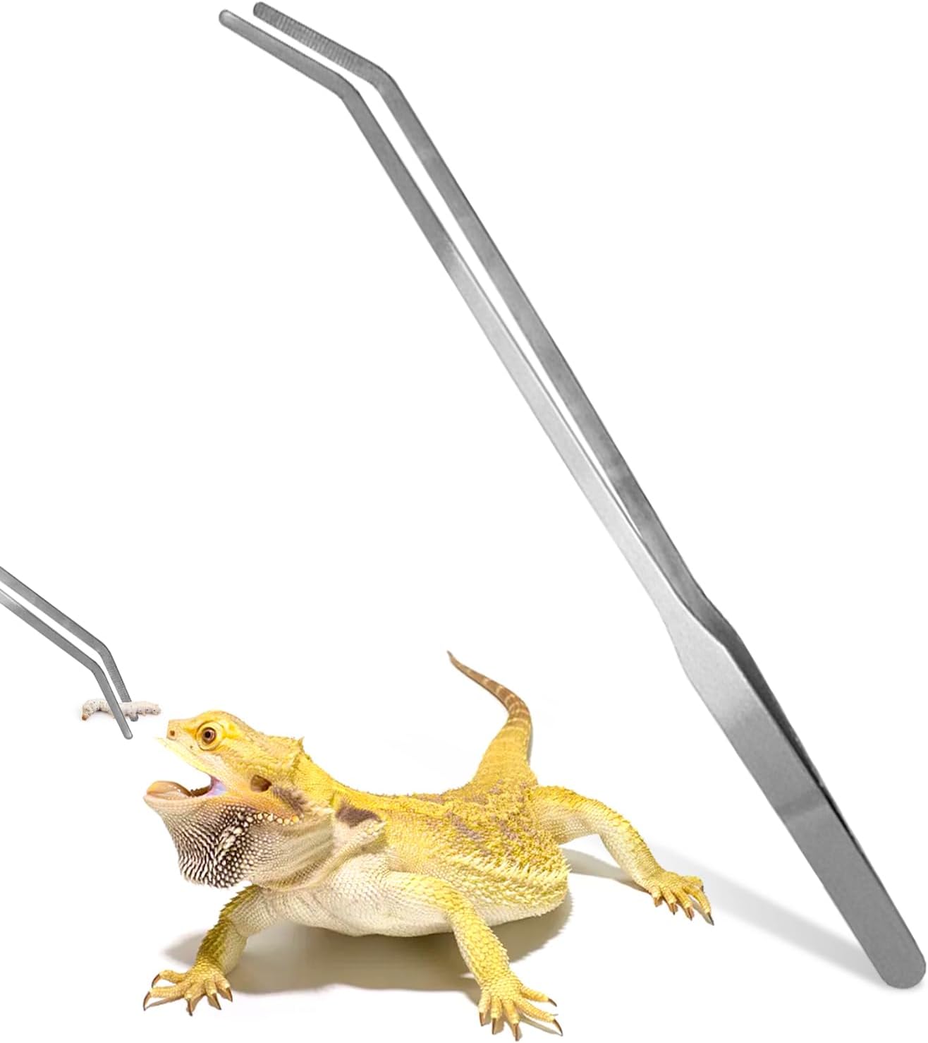 1 Pcs Feeding Tongs, Stainless Steel Reptile Feeding Tongs, 10.4inch ...