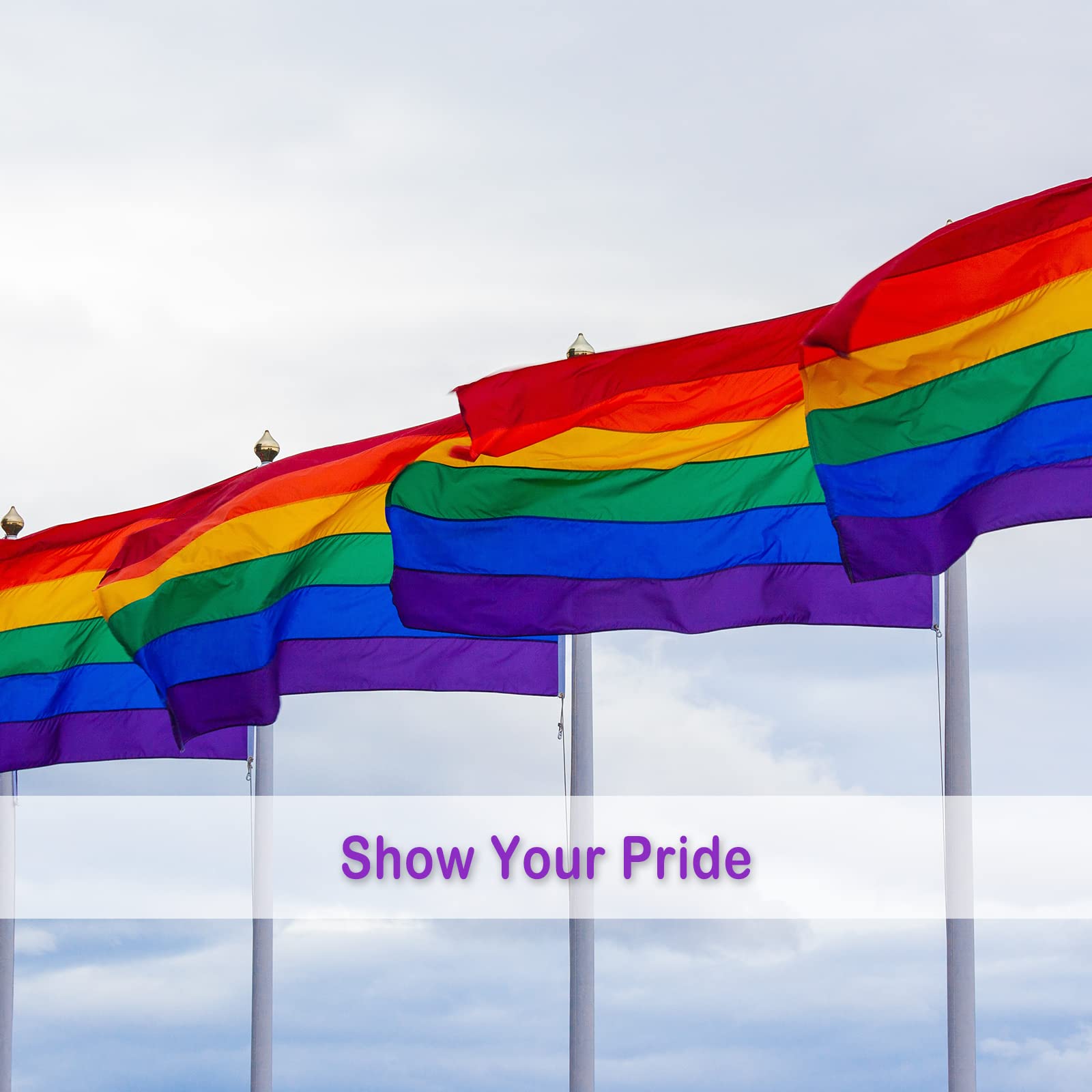 Rainbow Pride Flag Lgbt Rights Gay Lesbian Bi Flags Of The LGBTIQ