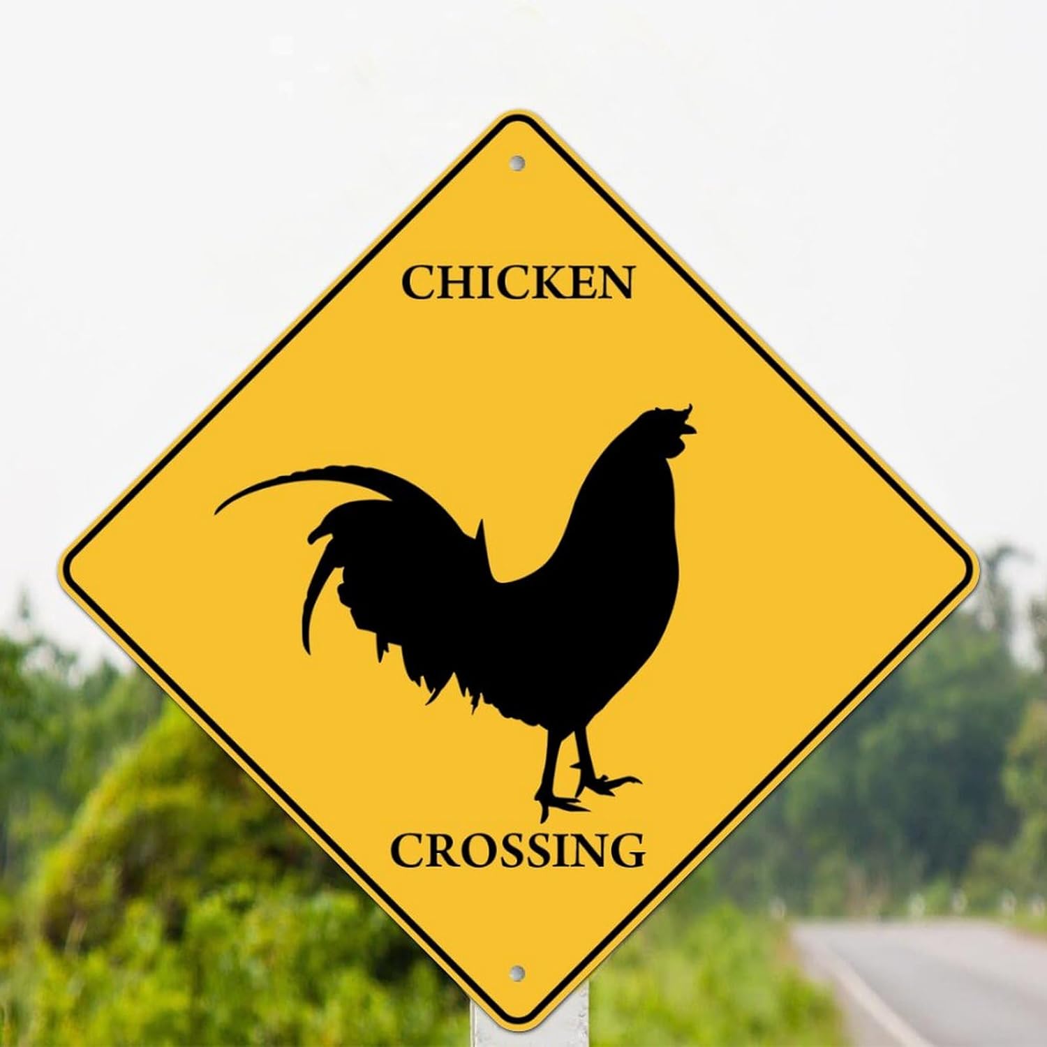 Amazon.com: Retro Vintage Tin Metal Sign Chicken Xing Chicken Crossing ...