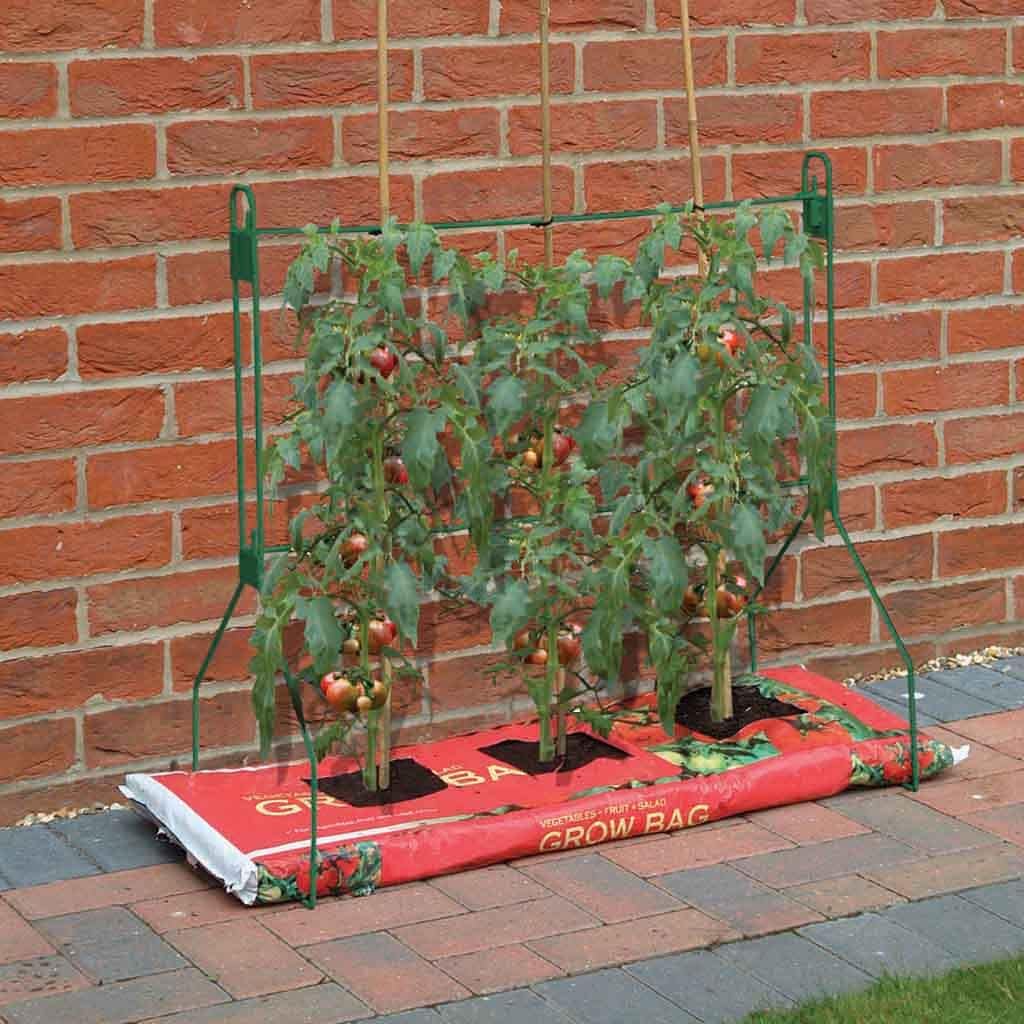 Bosmere Tomato Grow Bag Support Frame and Zip Ties, N425 : Amazon.co.uk ...