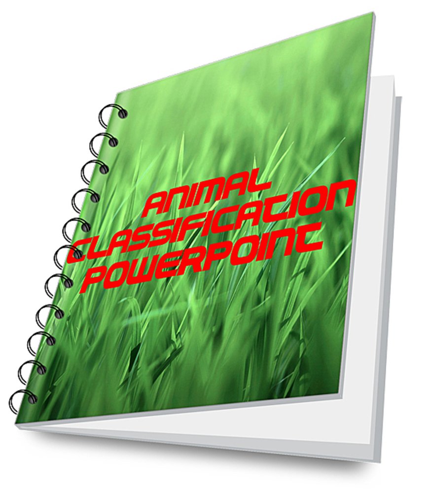SCIENCE - ANIMAL CLASSIFICATION: Primary Series Volume eBook : Estore ...