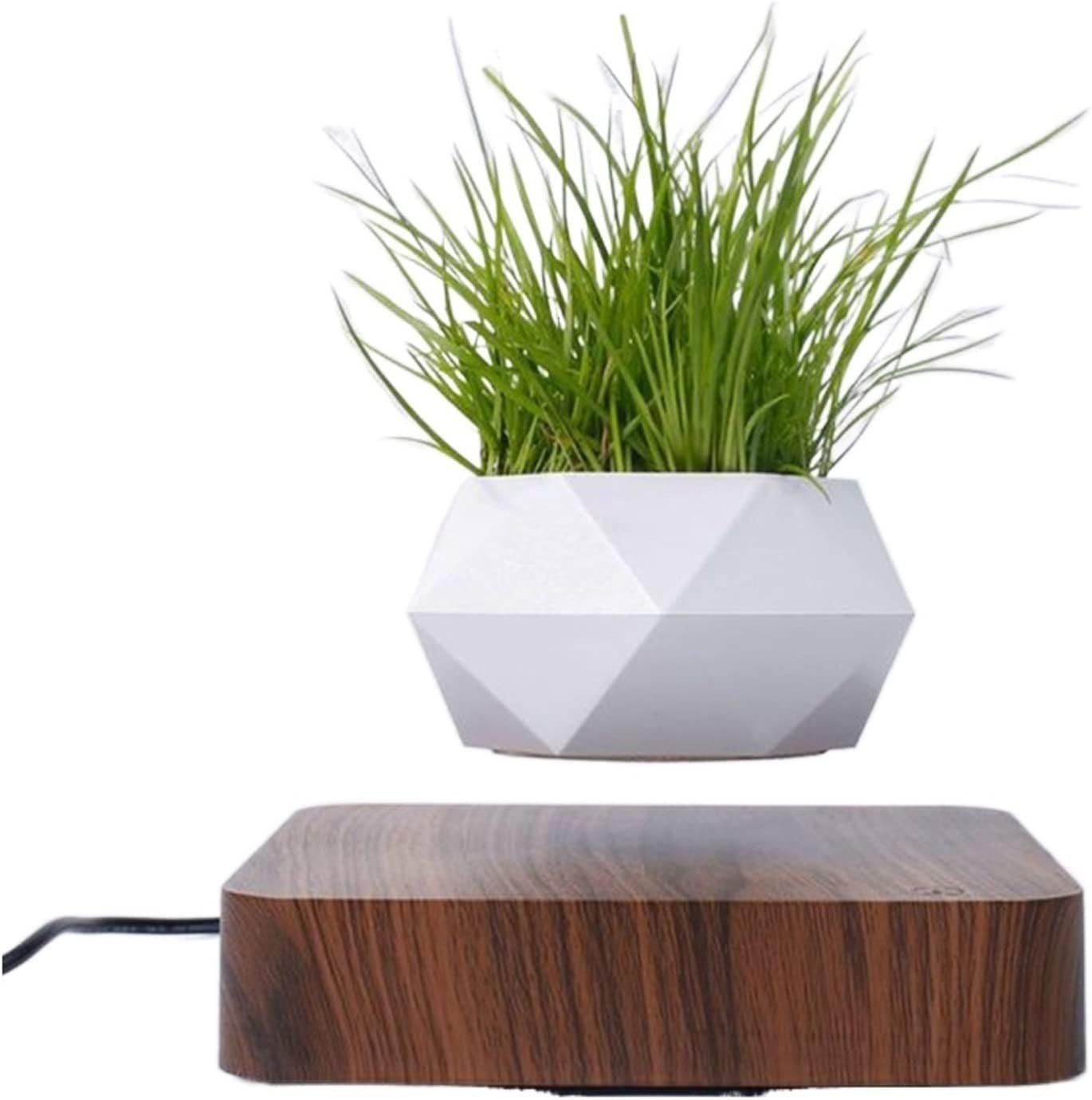 Amazon.com : ANTCRZ Flowerpot Levitating Air Bonsai Pot Rotation ...