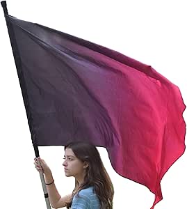 Amazon.com : Color Guard Flags with Pole- Lightweight Spinning Flags ...