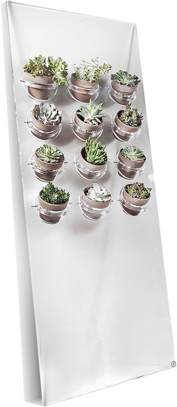 Amazon.com: Full Bloom Plant Stand, Acrylic / Lucite, Plant Stands ...