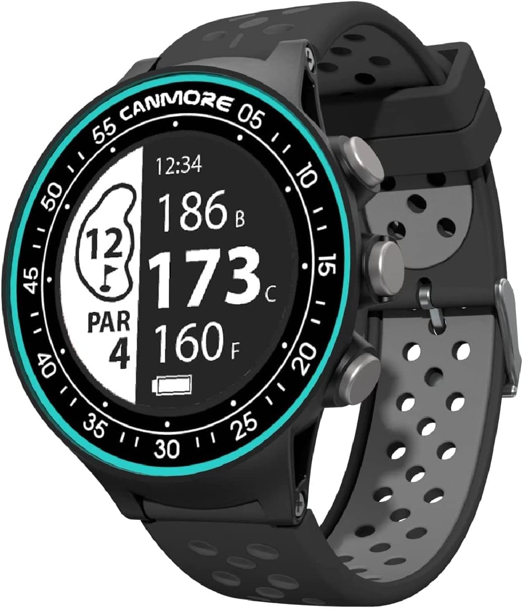 Amazon.com: CANMORE TW411 Golf GPS Watch with Fitness Tracker, 40,000 ...