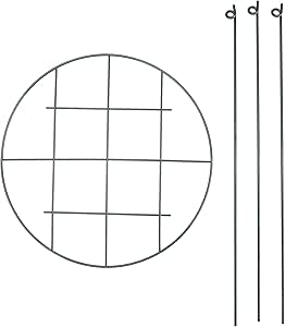 Amazon.com : Sturdy Metal Flower Support Rings for Lush Blooms - 30.5 D ...