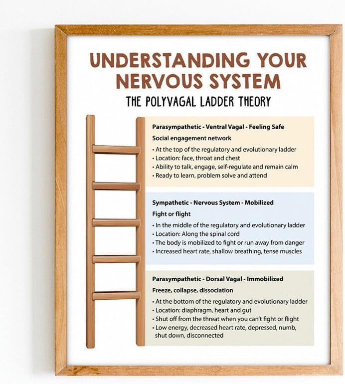 Amazon.com: Understanding Your Nervous System Poster, Polyvagal Theory ...