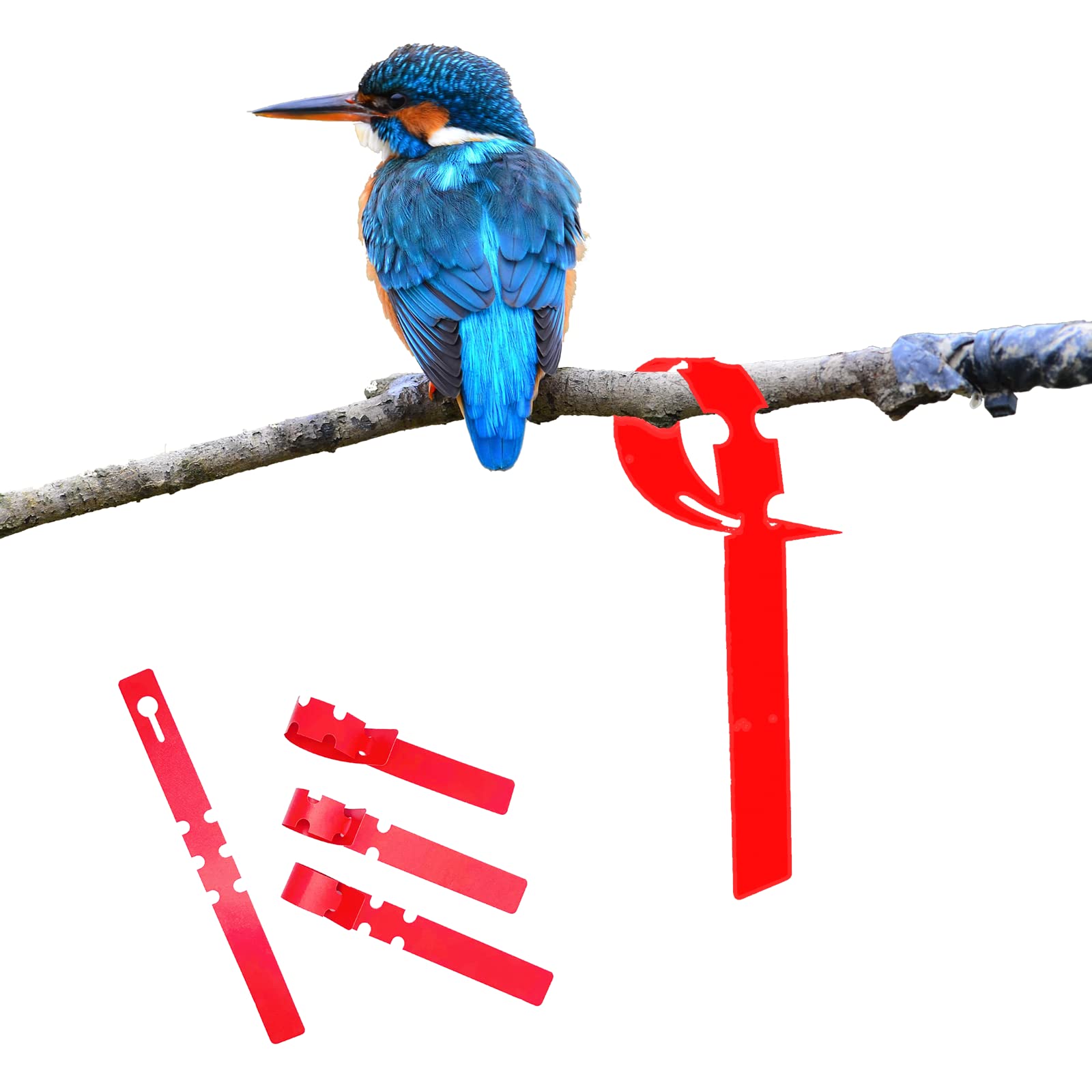 Snapklik.com : DaTpuik 100Pcs Red Plant Tags Wrap Around Tree Tags ...