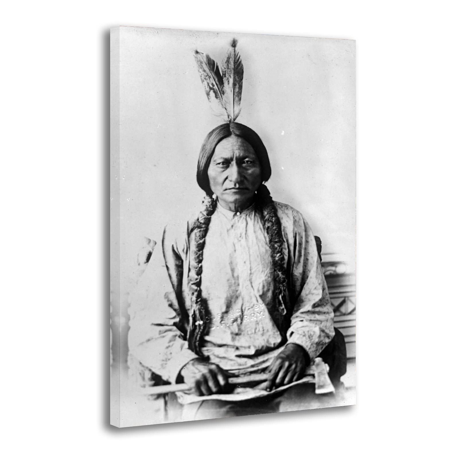 Familia Toro Sentado Toro Sentado (1834 1890) Jefe Indio Dakota Sioux