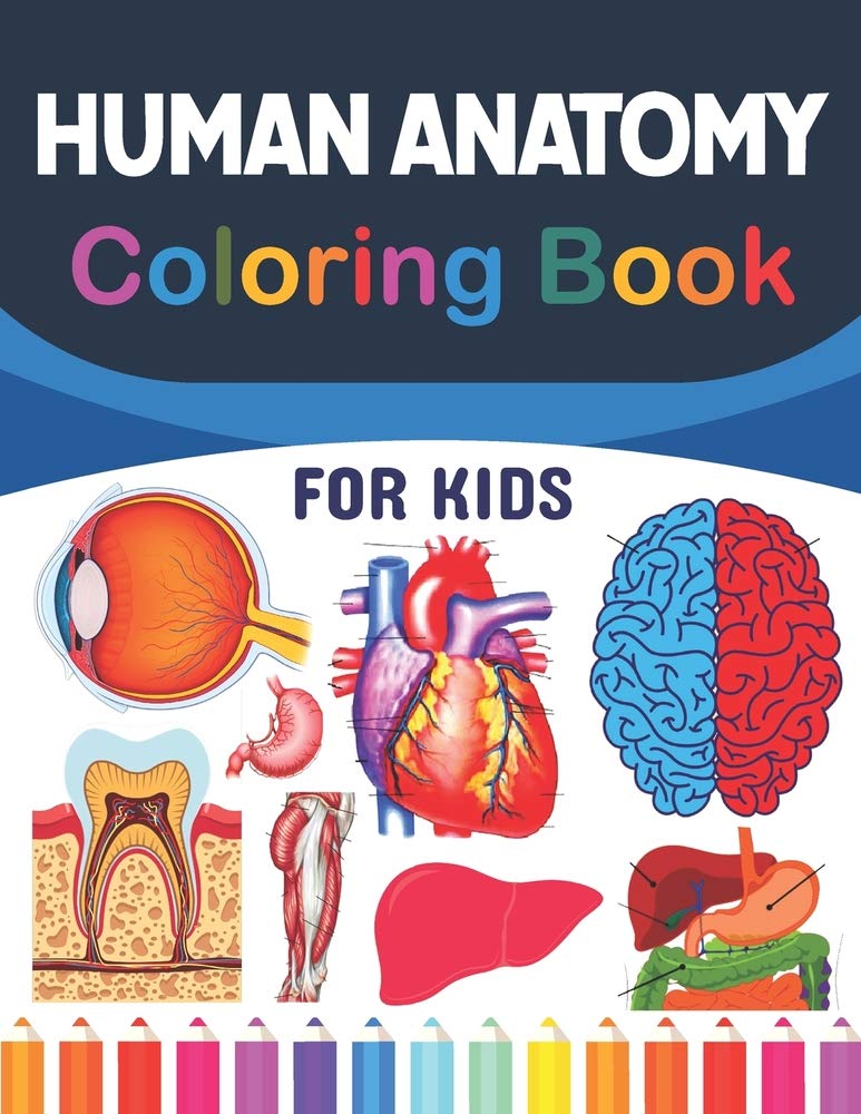 Buy Human Anatomy Coloring Book For Kids: Fun and Easy Human Anatomy ...