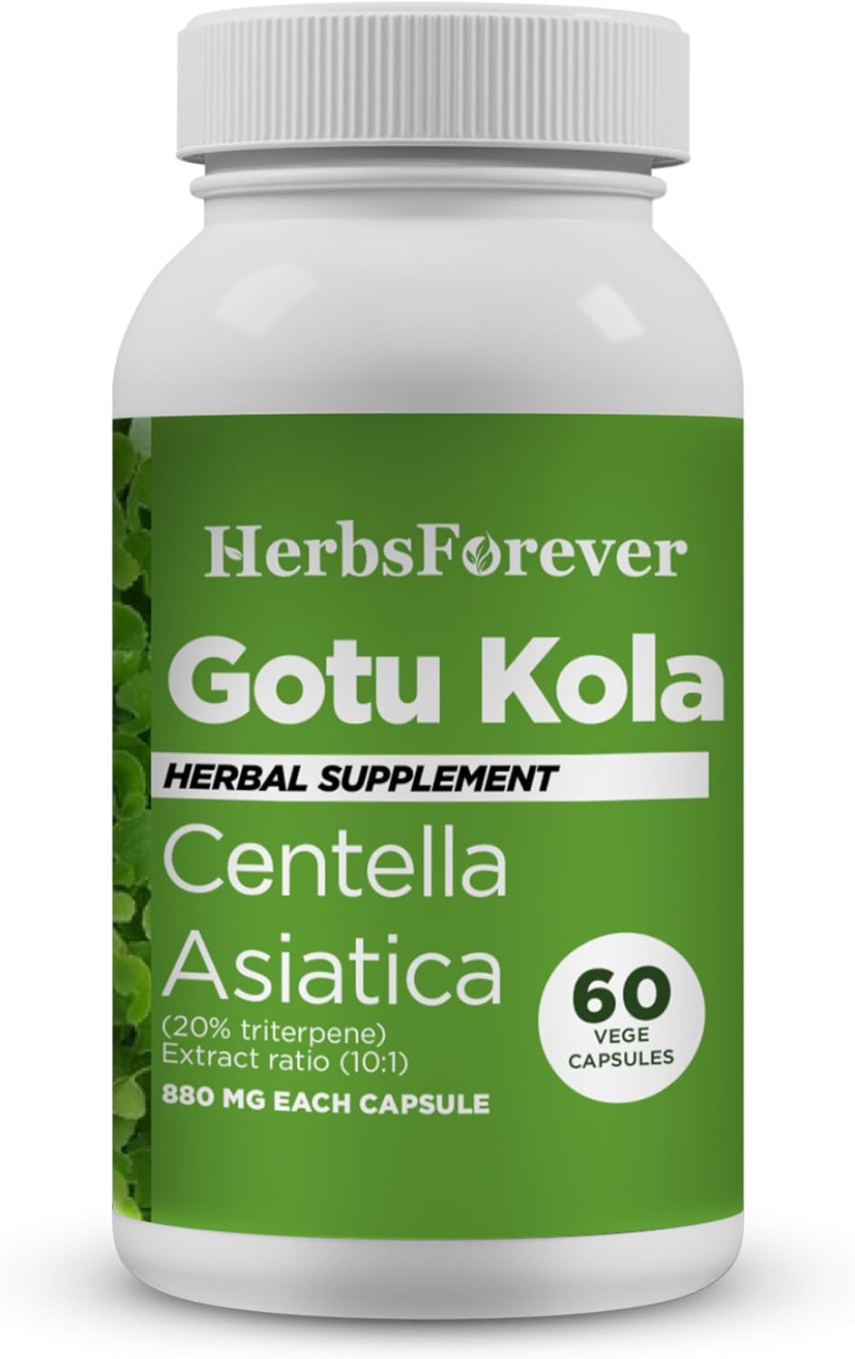 Amazon.com: Herbsforever Gotu Kola (Centella Asiatica)-Extra Strength ...