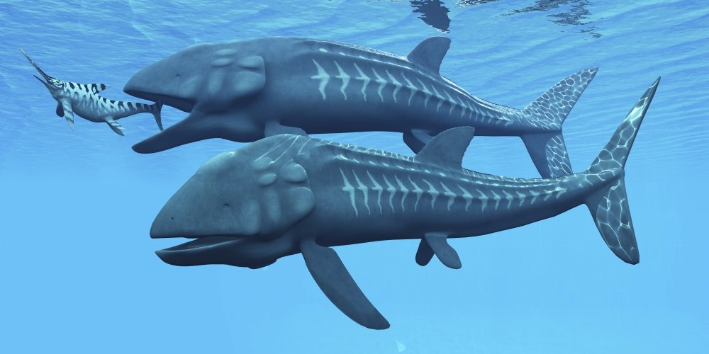 Leedsichthys