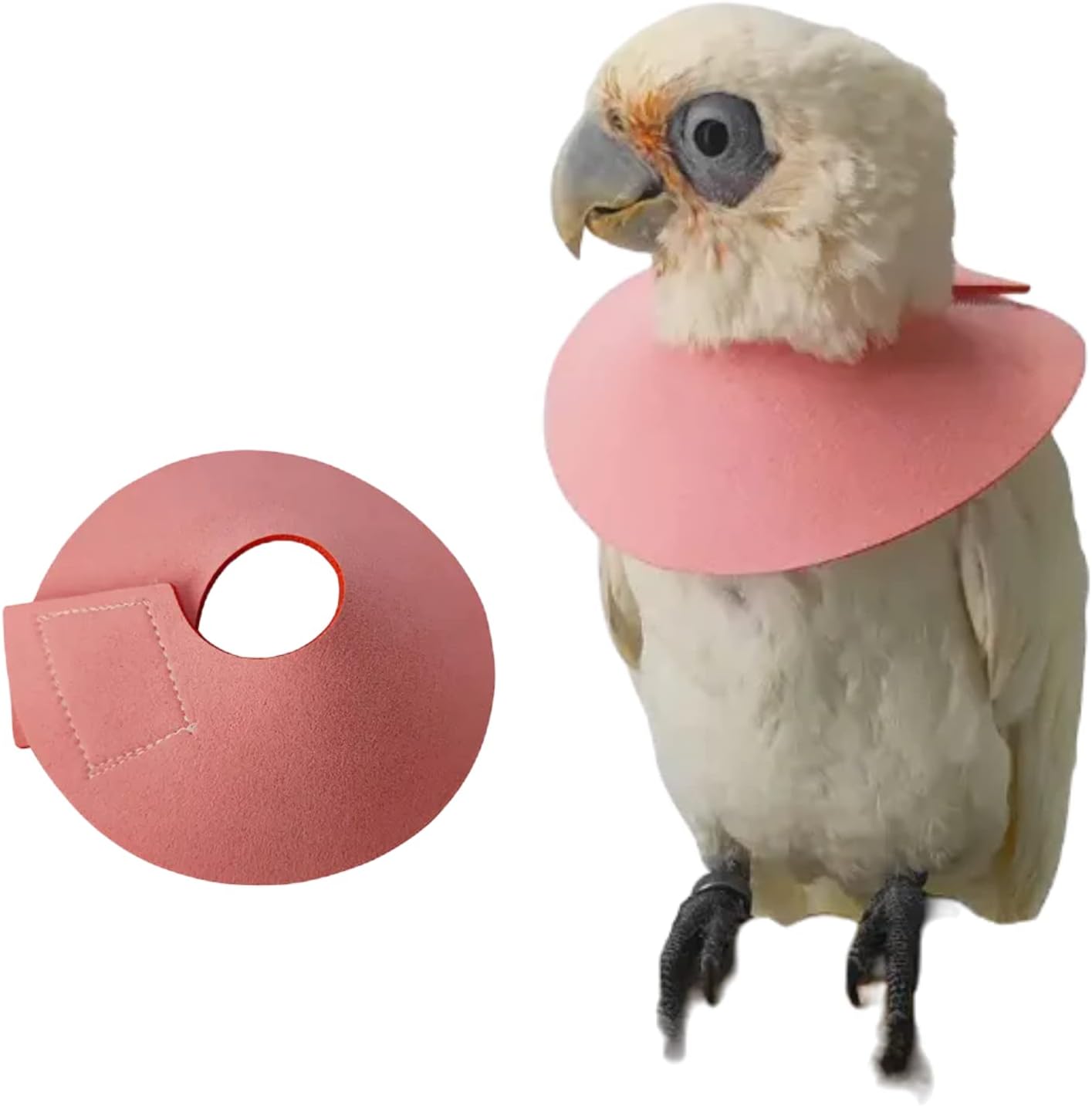 Amazon.com : Pet Parrot Anti-bite Elizabethan Collars, Anti-Grab ...