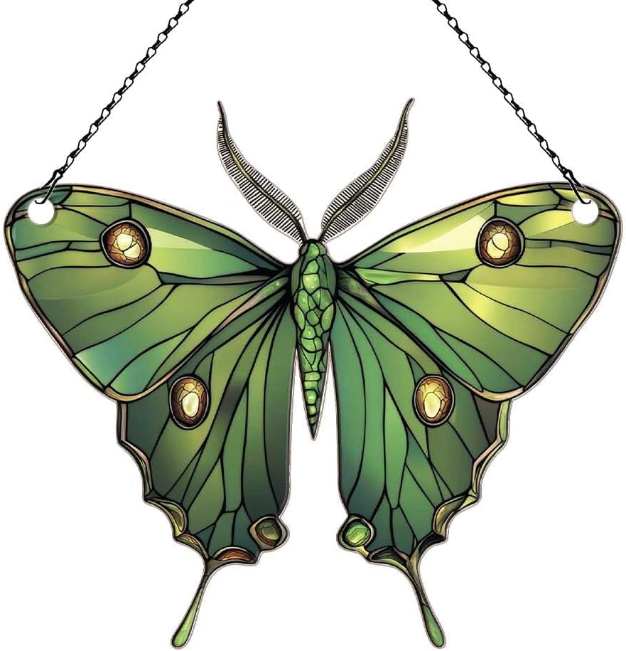 Amazon.com: Luna Moth Ornaments Decor - Luna Moth Gifts for Women Men ...