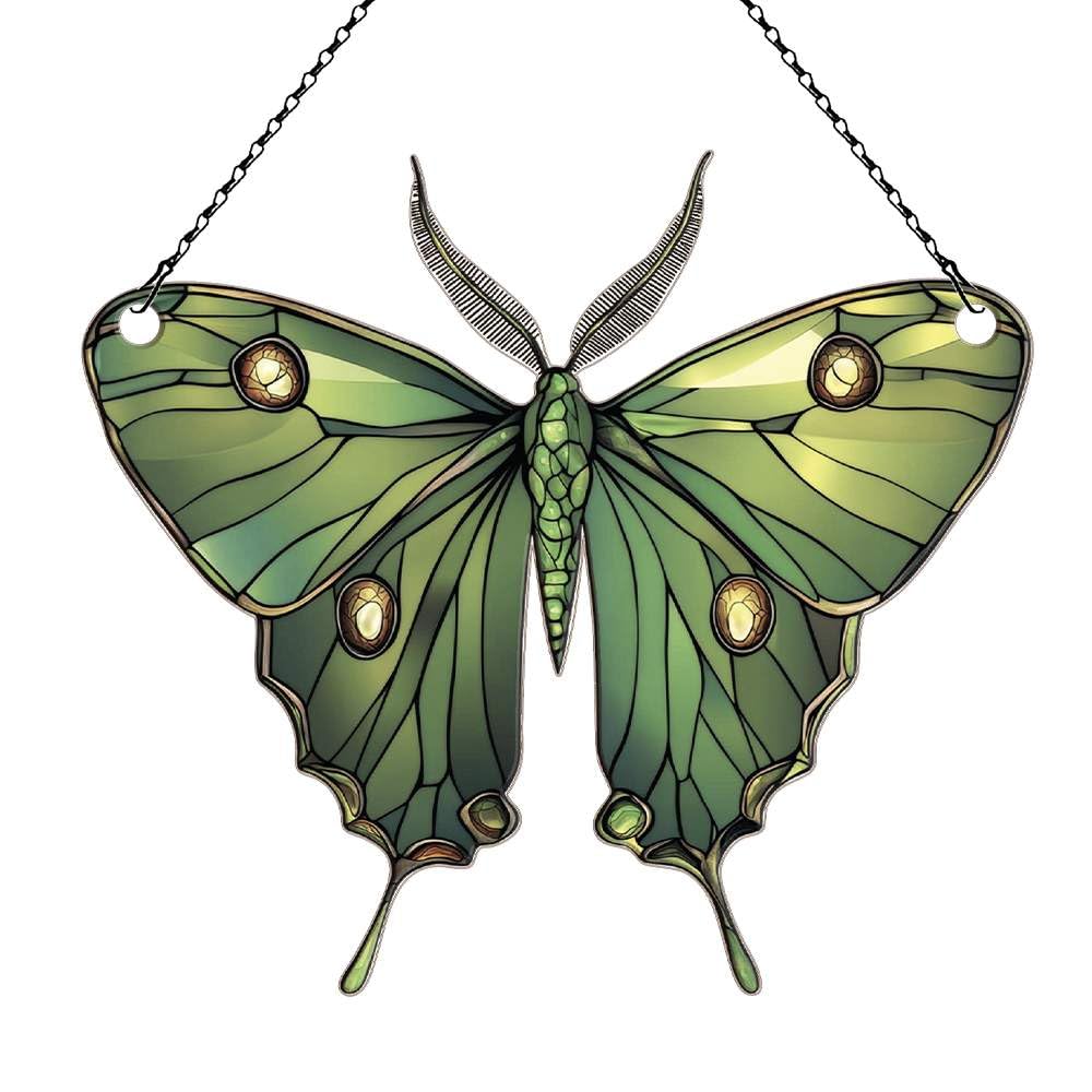Amazon.com: Luna Moth Ornaments Acrylic Window Hanging - Gifts for Luna ...