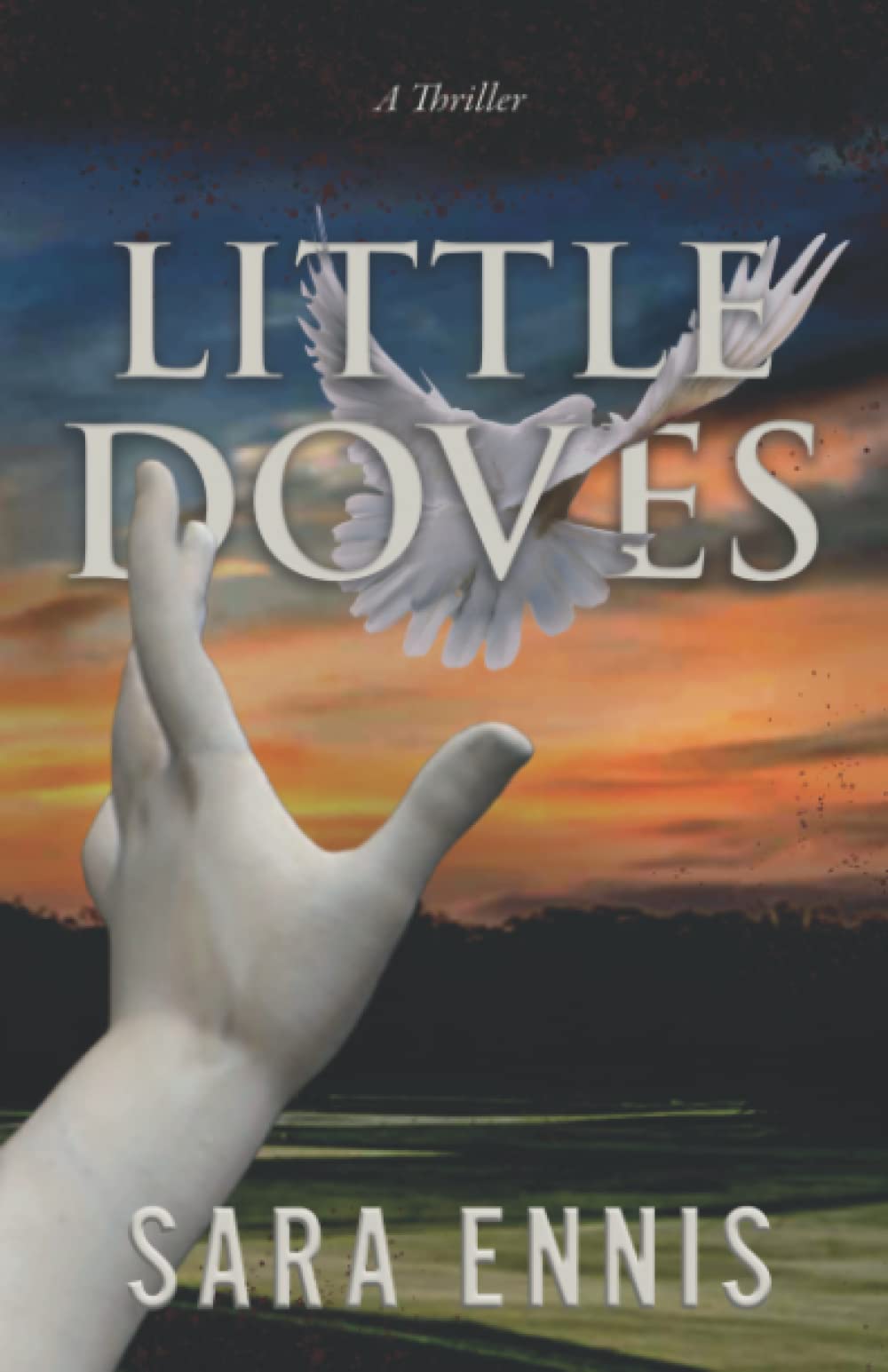 Amazon.com: Little Doves: A thriller: 9781736772287: Ennis, Sara: Books