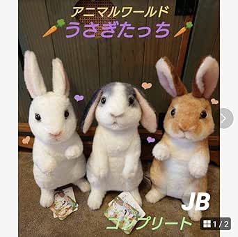 Amazon.co.jp: Animal World Rabbit Tachi Complete : Pet Supplies