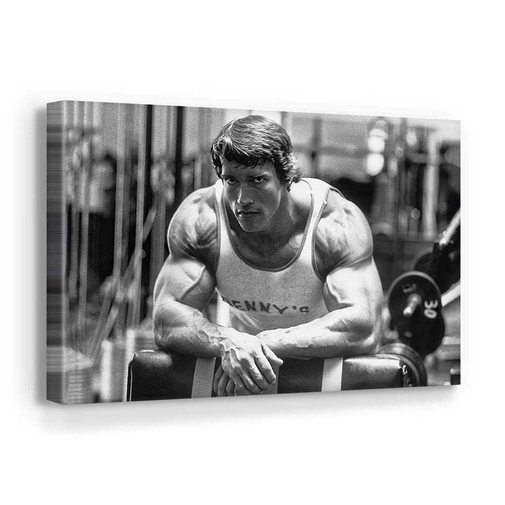 Amazon.com: Arnold Schwarzenegger Bodybuilding Canvas Art Wall Art Home ...