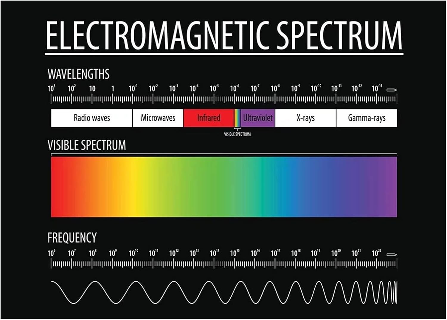 Amazon.com: The Electromagnetic Spectrum Educational Poster - Complete ...