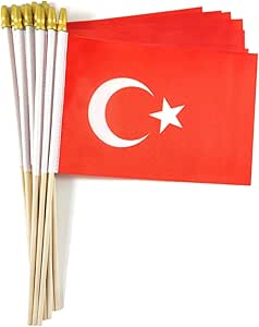 Amazon.com : QQSD Turkey Small Flag Turkish Stick Mini Hand Held Flags ...