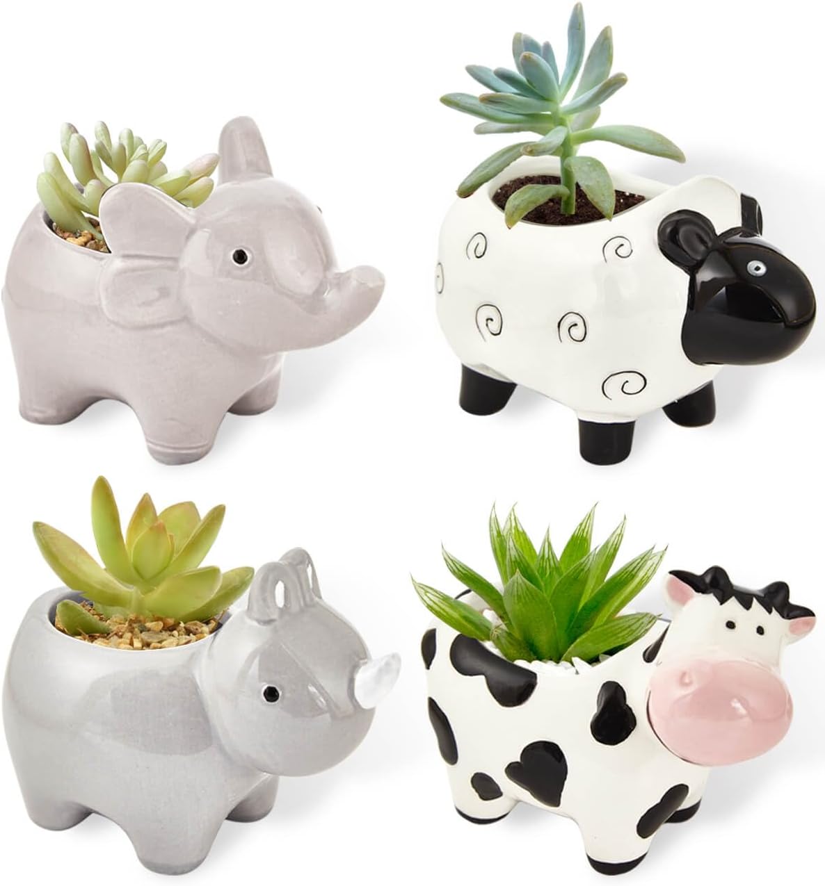 Amazon.com : 6 Pieces Cute Animal Succulent Planter Pot with Drainage ...