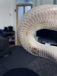 Vetark Tamodine Wound Dressing, 50 ml : Amazon.co.uk: Health & Personal ...