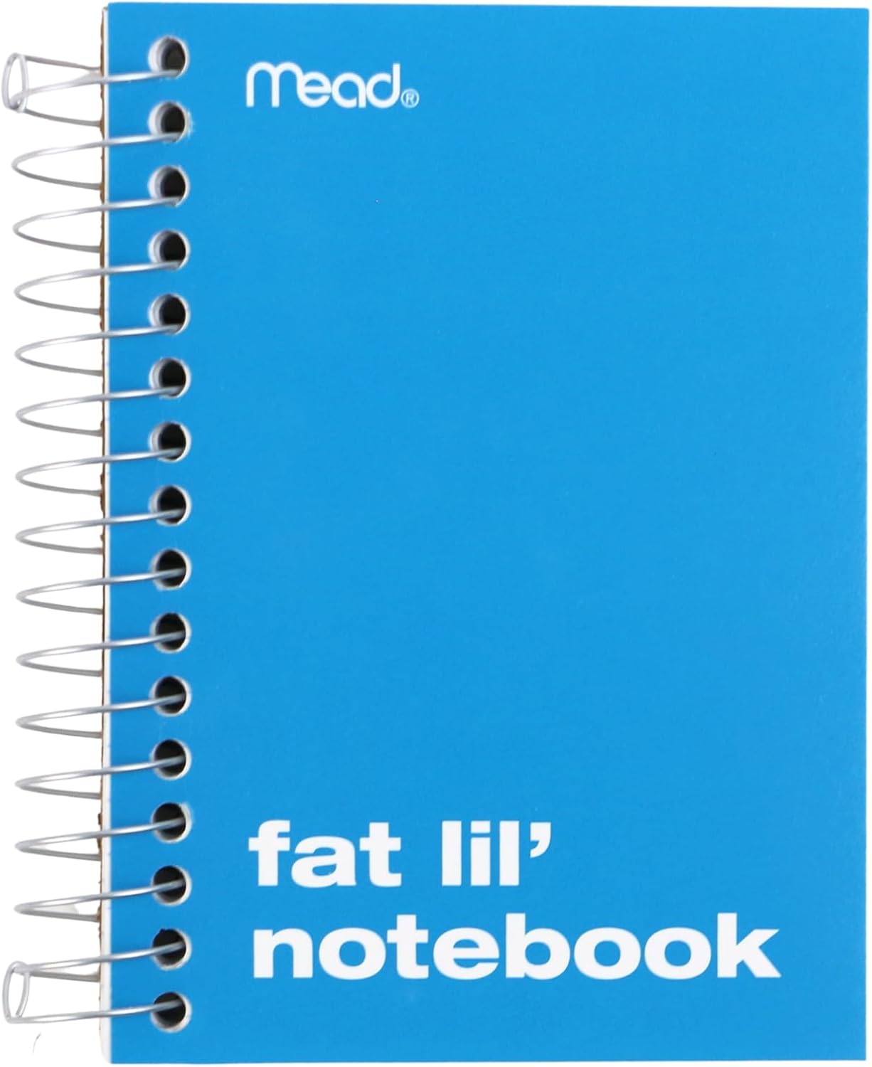 Amazon.com : Fat Lil' Notebook: 4 in. x 5-1/2 in. (Blue) : Office Products