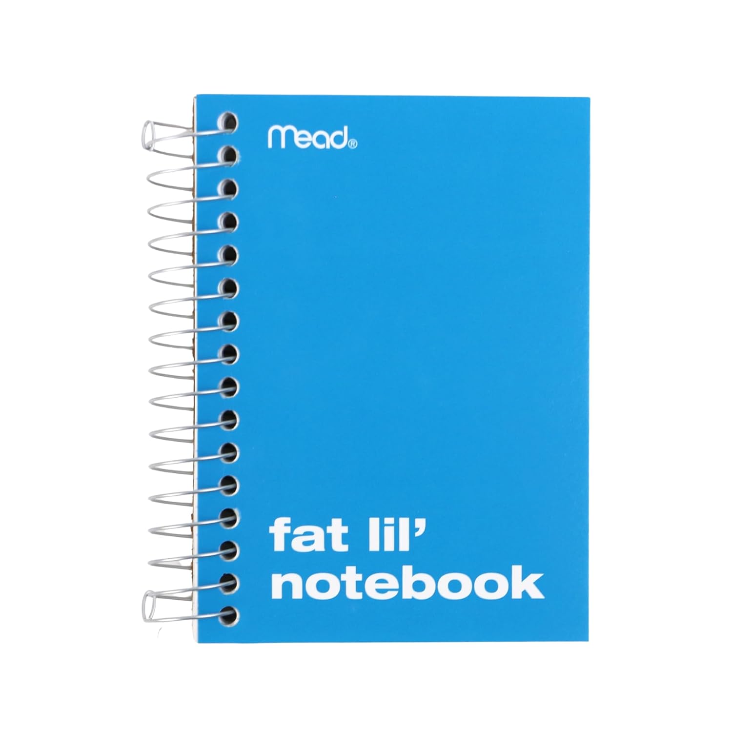 Fat Lil' Notebook: 4 in. x 5-1/2 in. (Blue): 0804467516438: Amazon.com ...