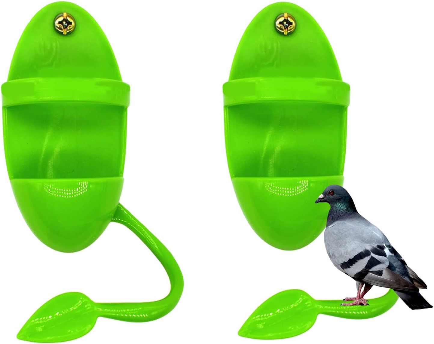 Amazon.com : 2pcs Bird Cuttlebone Holder Food Holder, Cuddle Bone ...