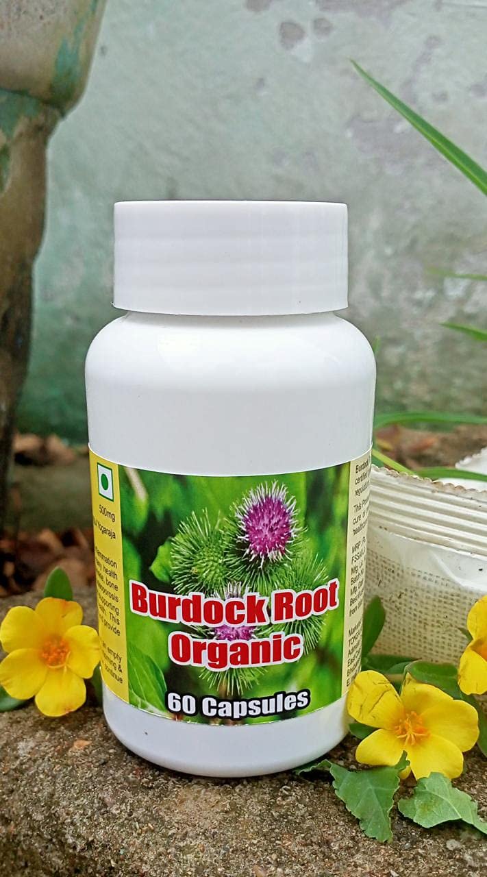 BURDOCK ROOT ORGANIC CAPSULES - 60 CAPSULES (GET 1 BOTTLE BURDOCK ROOT ...