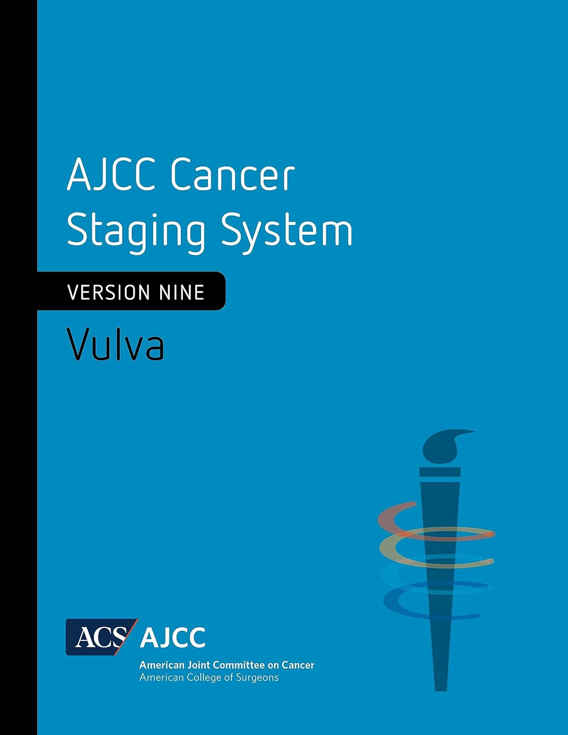 Amazon | AJCC Cancer Staging System: Vulva: Version 9 of the AJCC Cancer Staging System (English ...