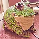 【発売日：2018年02月27日】・製造元:Smith's Cloud