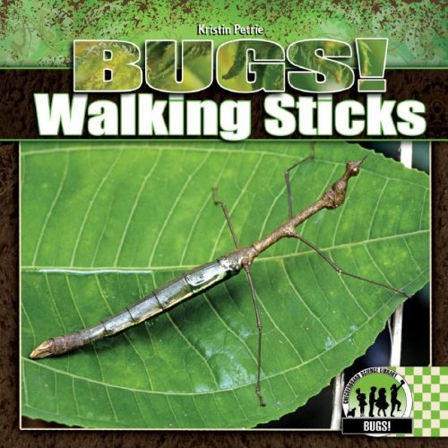 Walking Sticks (Bugs!): Petrie, Kristin: 9781604530735: Amazon.com: Books