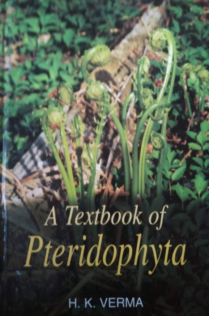 Amazon.in: Buy A Textbook Of Pteridophyta Book Online at Low Prices in ...