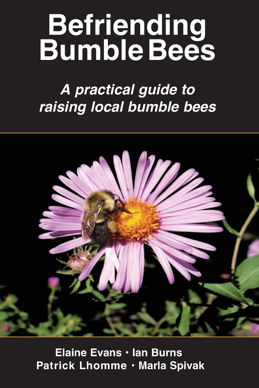 Befriending Bumble Bees: A practical guide to raising local bumble bees ...