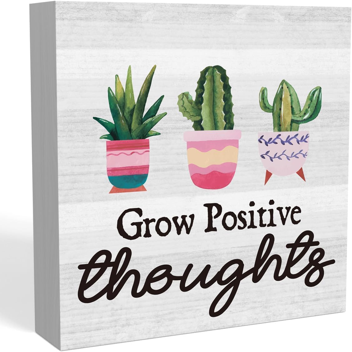 Amazon.com: Cosrkee Grow Positive Thoughts Cactus Succulent Desk Decor ...
