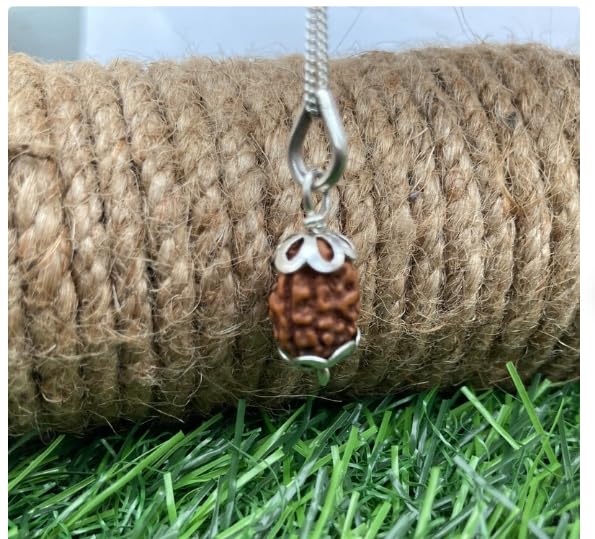 VDesign Nepal 2 Face Rudraksha Original Certified Natural 2 Mukhi ...